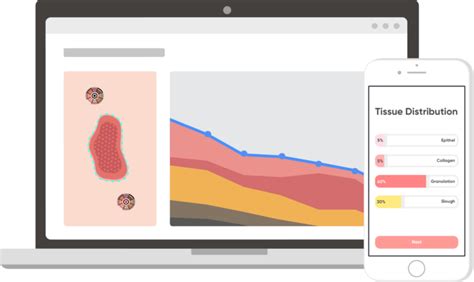 Digital Wound Management Healthy