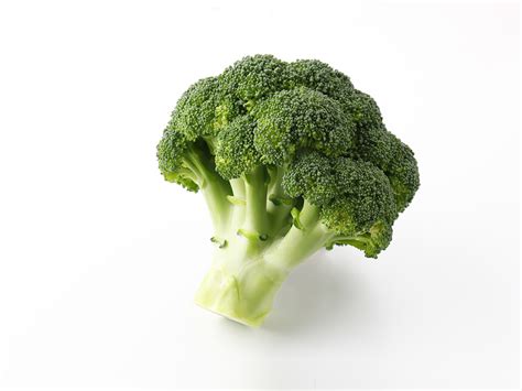ブロッコリー｜野菜保存のポイント｜保存テクニック｜旭化成ホームプロダクツ