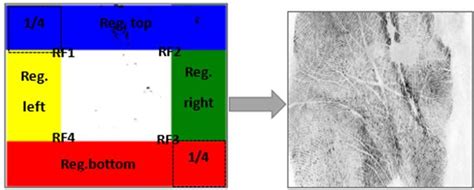 The Sample Of The Roi Palmprint A Four Regions B Roi Download