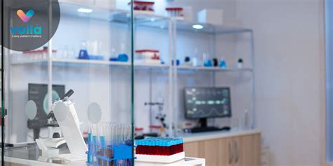 Voilà Lab Sample Management Software A Comprehensive Platform To Automate Laboratory Workflows