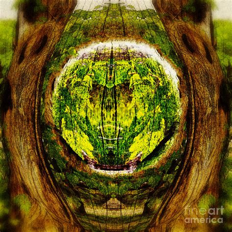 Womb Of The Goddess Photograph By Eva Thomas Fine Art America