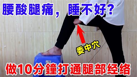 腰酸腿痛睡不好教你1個小妙招每天堅持做10分鐘大腿經絡全打通讓你安睡一整夜絡穴養生課堂 YouTube