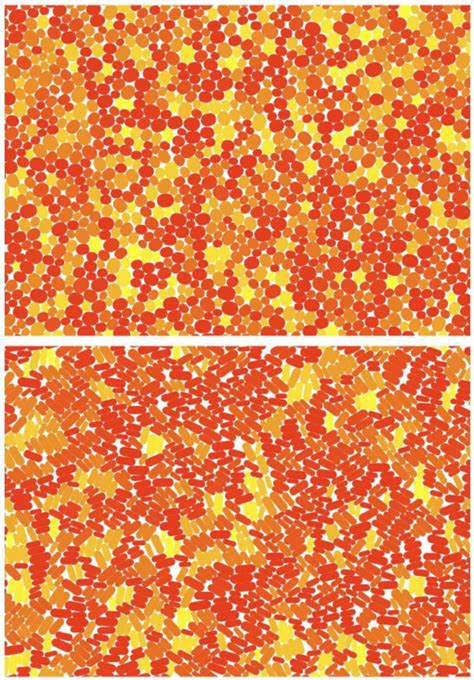 Color online Color level map of particle orientations for η 0 2 Download Scientific