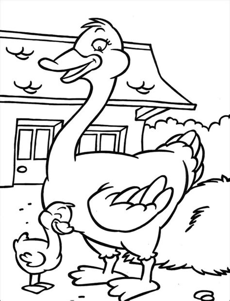 بطة صفحات تلوين