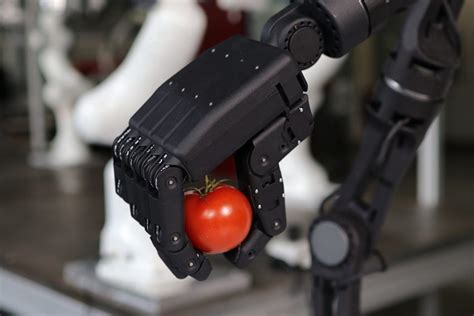 Without Programming Robots Learn Gripping Movements From Humans Tu