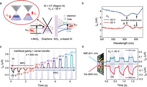 Gate‐controlled Multispectral Response In Graphene‐based Heterostructure Photodetector Dat