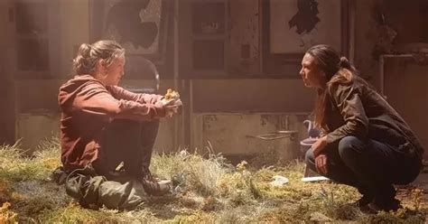 Создатель сериала The Last Of Us рассказал о проекте свежие подробностии Kino Inside