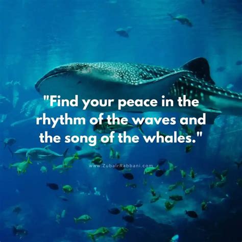 The Whale Quotes 220 Best Whale Puns Quotes And Captions For
