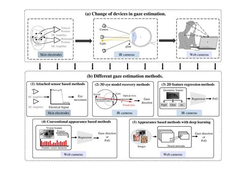 Appearance Based Gaze Estimation With Deep Learning A Review And Benchmark Deepai