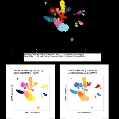 Figure S2 Single Cell Characterization Of The Pax6 Gene A Umap Of