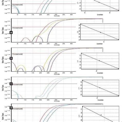 Pdf Comparison Of Sybr Green And Taqman Methods In Quantitative Real Time Polymerase Chain