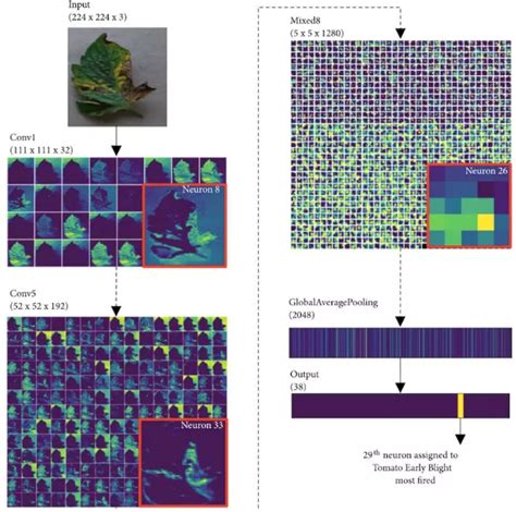 如何利用卷积神经网络诊断植物病害 research article