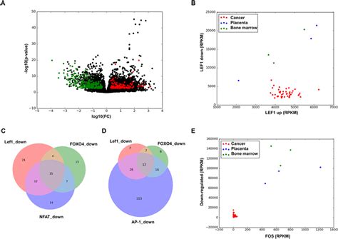 Volcano Plot Resulting From The Differential Expression Analysis