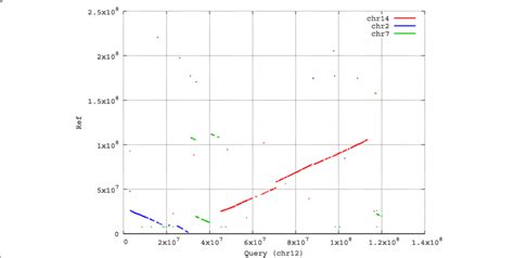 The Dot Plot Of The Alignment For Human Chromosomes 2 7 And 14 And