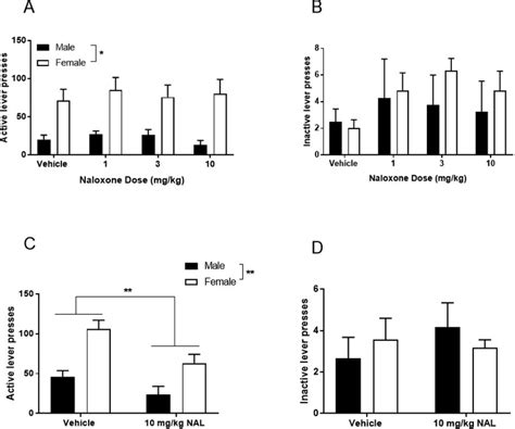 Sex Differences In Oral Oxycodone Self Administration And Stress Primed Reinstatement In Rats