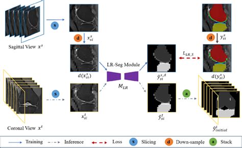 The Pipeline Of Proposed Lr Seg Module Take Sagittal View As Source Download Scientific