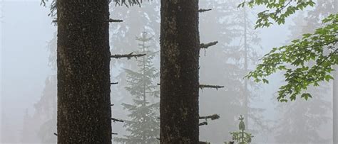 Javascript 前端如何入门 Go 语言 白话前端 Segmentfault 思否