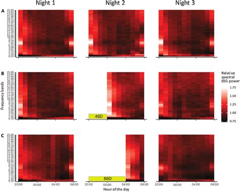 Heatmap Of Normalized Nrem Sleep Eeg Spectral Power During Three Download Scientific Diagram