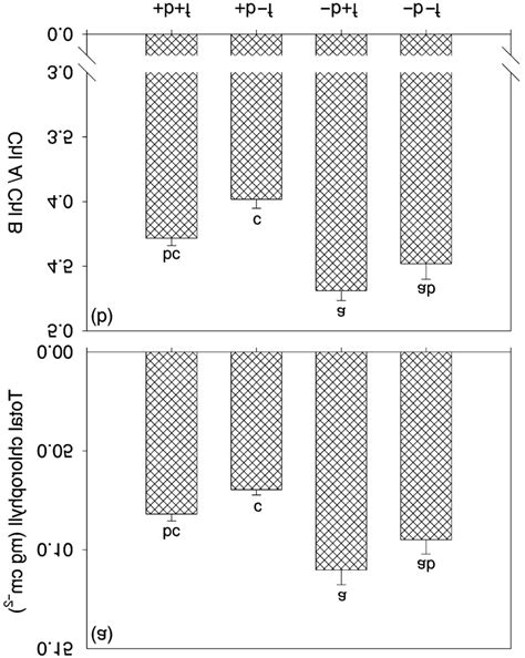 A Total Chlorophyll Concentration And B Ratio Of Chlorophyll A Chl Download Scientific
