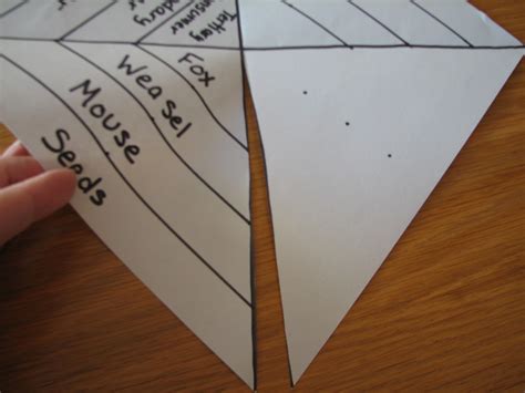 Science Matters Food Chain To Food Pyramid