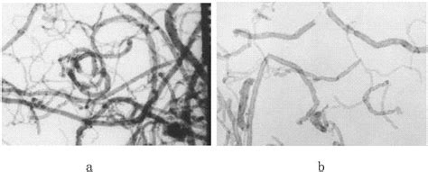 一种聚噻吩液晶 多壁碳纳米管复合材料的制备方法与流程