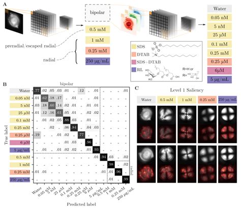 classification of multiple surfactants using hierarchical cnn a download scientific diagram