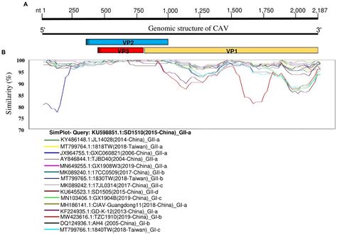 frontiers genetic diversity distribution and evolution of chicken anemia virus a