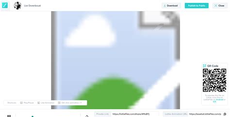 Image File Not Showing On The Preview · Issue 1923 · Airbnblottie Web · Github