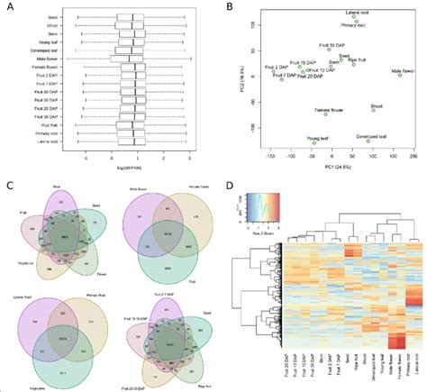 A Violin Plot Of The Distribution Of The Gene Expression In Tissues B
