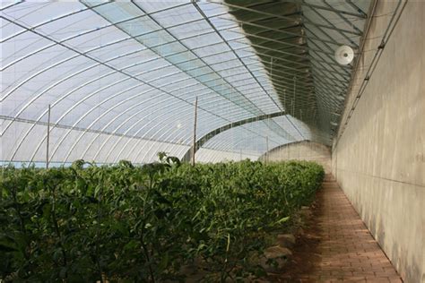日光温室 北京农立方温室工程技术有限公司