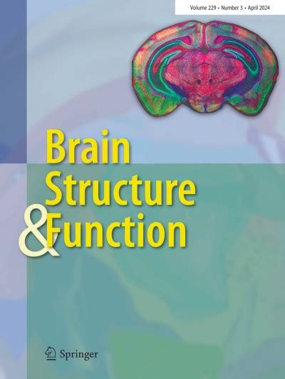 Brain Structure And Function 32025 Springermedizinde