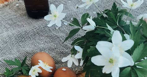 집에 있는 방에 있는 나무 소박한 테이블에 봄 꽃이 있는 부활절 달걀 자연 계란 벚꽃 및 아네모네 꽃 안녕하세요 봄과