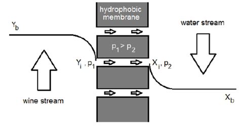 Mass Transfer Of Ethanol In Osmotic Distillation Download Scientific Diagram