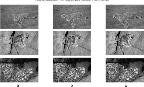 Figure 13 From Gaussian Markov Random Field Based Improved Texture Descriptor For Image