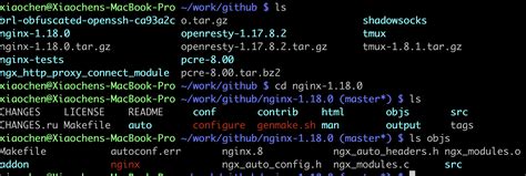nginx [emerg] unknown directive proxy connect in · issue 157 · chobits ngx proxy