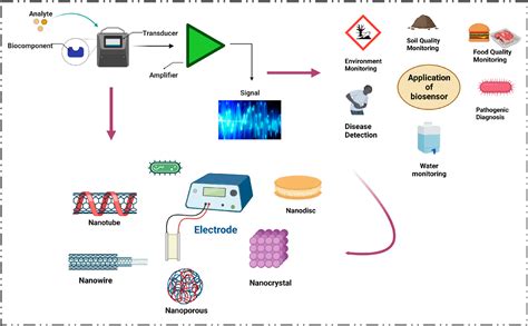 Figure 1 From A Nanotechnology Based Approach To Biosensor Application In Current Diabetes