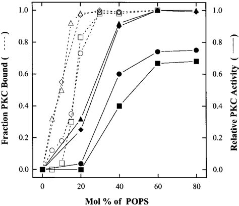 Relative Binding Affinity And Enzyme Activity Of Pkcand The C1 Domain