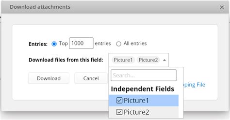 mass file download
