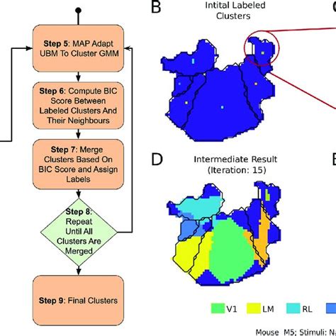 Pipeline For Semi Supervised Clustering Of Visual Areas A Block