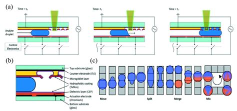 Cross Sectional View Of A Digital Microfluidic System Integrated With Download Scientific