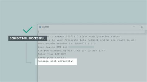 Connecting Mkr Wan 1310 To The Things Network Ttn Arduino Documentation