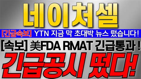 네이처셀 주가전망 긴급속보 Ytn 지금 막 초대박 뉴스 떴습니다 속보 美fda Rmat 긴급통과 긴급공시 떴다 네이처셀대응 네이처셀목표가 Rmat