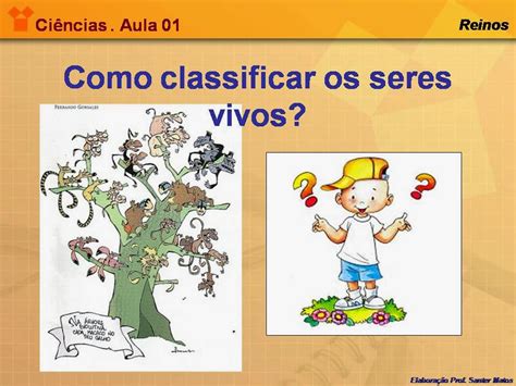 Exercícios Sobre Classificação Dos Seres Vivos Nazaedu