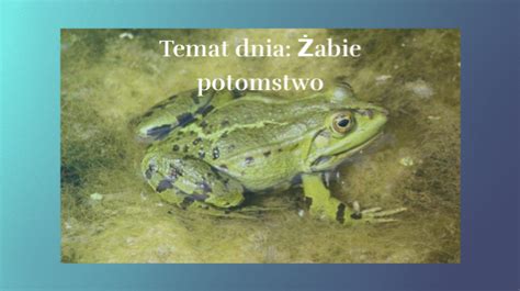 Zaba Genially