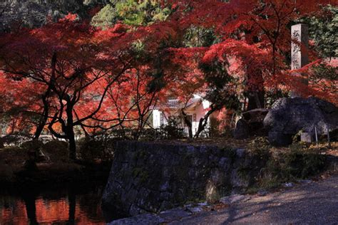 By Jacksan Id Photohito