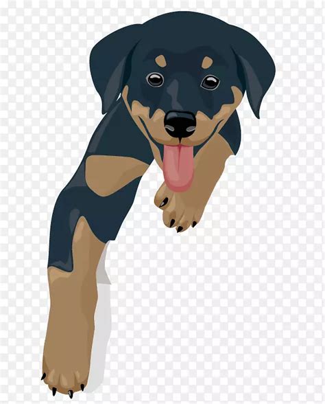 罗威勒斗牛犬西伯利亚哈士奇小狗剪贴画 可爱的黑色小狗png图片素材下载图片编号230738 Png素材网