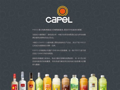 宣传页qinglong青龙 站酷zcool