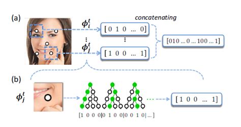 Zhangjiezhangjie Face Alignment At 3000 Fps Via Regressing Local