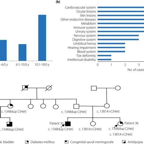 Clinical Characteristics Of Patients With Candidate Variants A Age