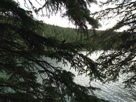 Summer Camp 2014 Crows Nest Pass